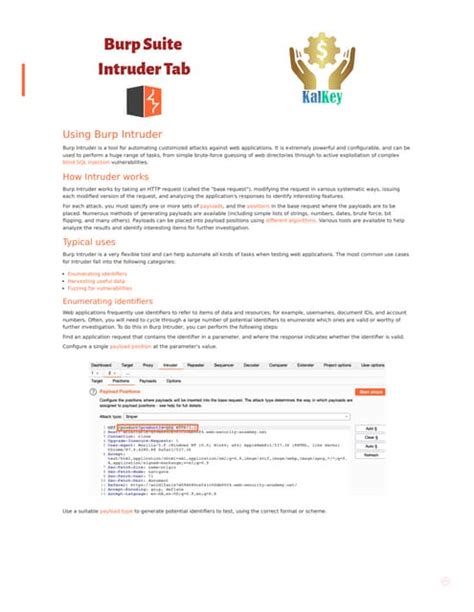 burp documentation pdf