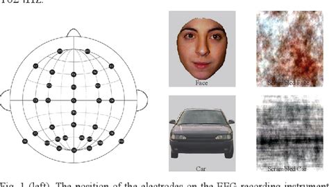 Figure 1 From A Lightweight Deep Learning Model For Eeg Classification Across Visual Stimuli