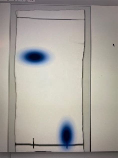 Solved How Would You Assign The Rf Values Forthis TLC Plate Chegg Com