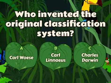 Classification Quiz Classification Quiz