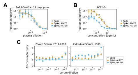 Neutralization Assay Serum Neutralization Assay Pseudovirus