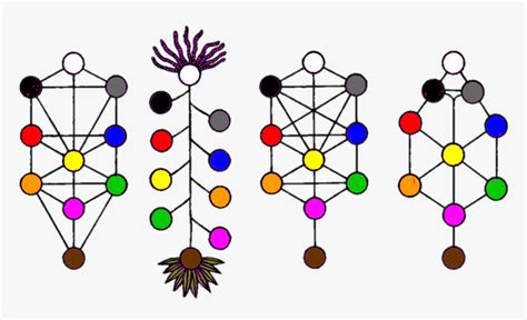 Tree Of Life Variants Circle HD Png Download Transparent Png Image PNGitem