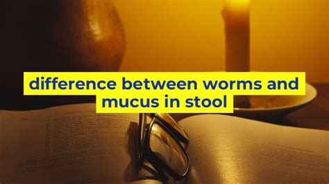 Difference Between Worms And Mucus In Stool Sinaumedia