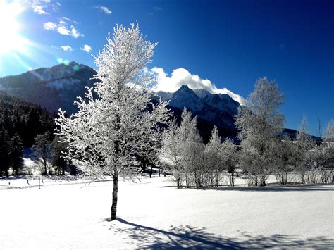 Free Images Snow Winter Sky Tree Nature Natural Landscape Cloud