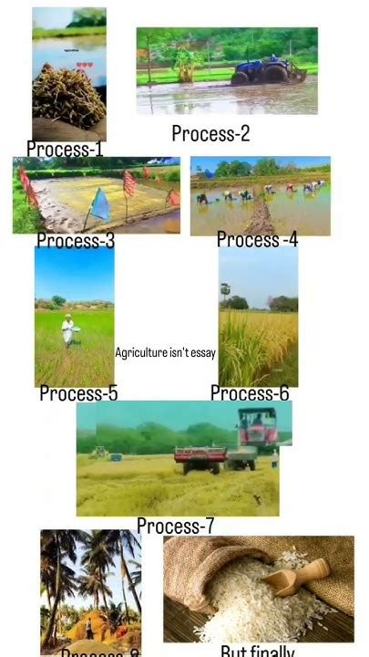 Farmering Also Java Codeing Farmer Life Shortvideos Viral Shorts Farmerlife Youtube