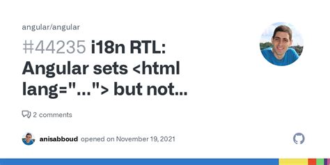 i18n rtl angular sets but not dir ltr rtl · issue 44235 · angular