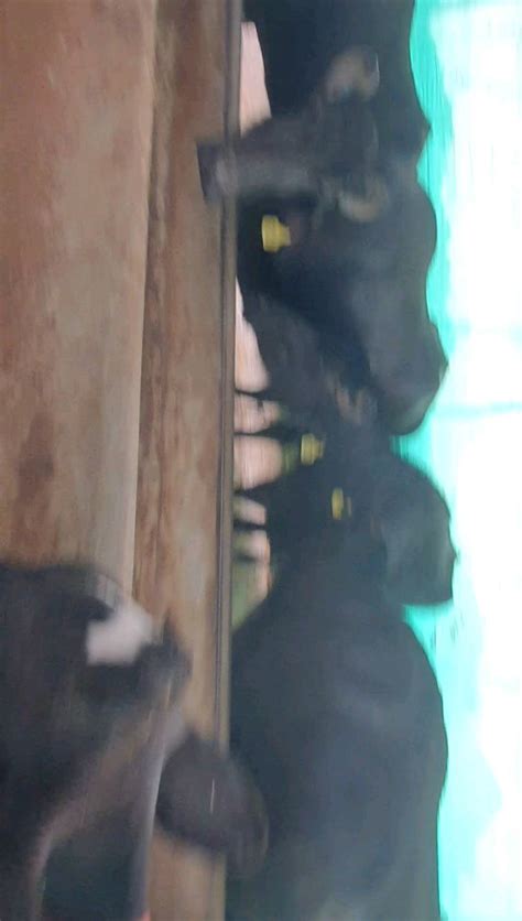 Samar Raghuwanshi Gandharav Raghuwanshi Samar • Instagram Photos And Videos