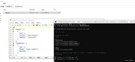 Json Server提供json接口服务 示例版本用jsonserver写一个登陆的接口 Csdn博客