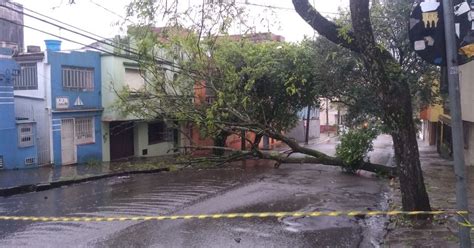 Chuva Alaga Ruas Derruba árvores E Causa Transtornos Em Santa Maria Gzh