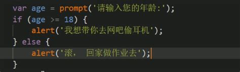 小陈学习JS if else语句 js代码模拟进网吧 询问是否年满 满 才让进网吧 CSDN博客