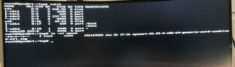 Installing Openwrt In A X86 System In A Partition Having Both Win11