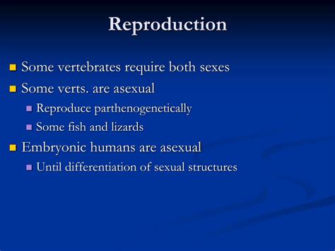 Ppt Comparative Anatomy Urogenital System Powerpoint