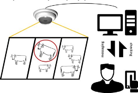 Figure 1 From Real Time Cattle Action Recognition For Estrus Detection Semantic Scholar