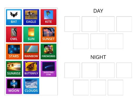 Year Nd Term Science Lesson Group Sort