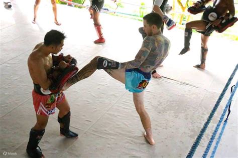 Phuket Muay Thai Boxing Introduction Class For Beginners Klook