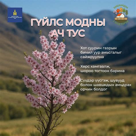 Цэдэн Ишийн Гантөмөр Added A New Photo Цэдэн Ишийн Гантөмөр