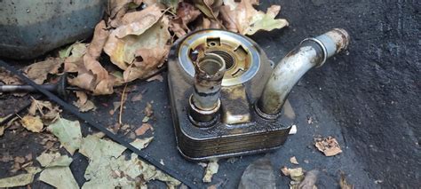 მოტორის „გოჭი“ Mastsavlebeli Ge