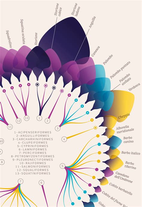 The Slow Loss La Lettura Dataviz Behance