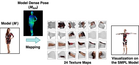 Visualizing The 24 Texture Maps On An Smpl Model Download Scientific Diagram