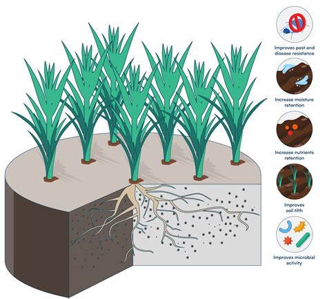 Biochar To Remove Carbon And Restore The Soil — Jord Ab