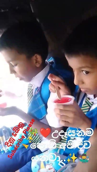 🎋 ️උදෑසනම පොඩි අපි දිව යනවා 💕 ️ දිනූ And බිනූ පාසල් යනවා 🐈🤹‍♂️ ️ Youtube