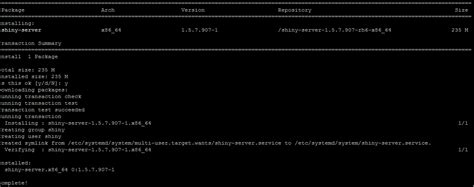 Install R Shiny Server On Centos 7