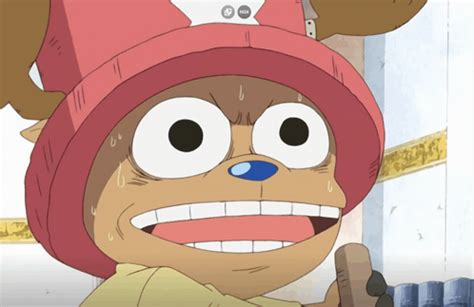 Chopper One Piece What The Hell Meme Chopper One Piece Chopper What The Hell Discover