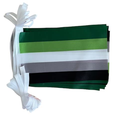Aromantic Pride Flag Bunting Custom Flag Australia