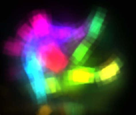 Pictorial Structures Revisited People Detection And Articulated Pose Estimation