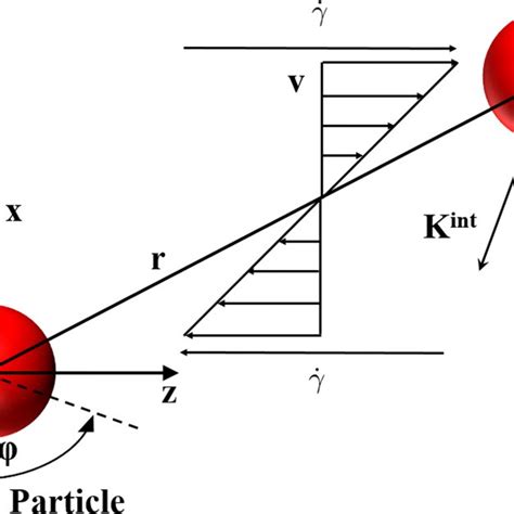 Schematic Illustration Of A Pair Of Interacting Particles Subject To A Download Scientific