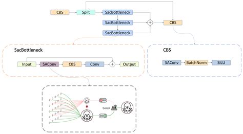 rse yolov8 an algorithm for underwater biological target detection