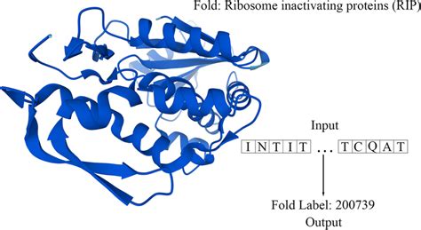 Illustration Of Remote Homology Detection Where The 3d Structure Is