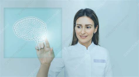 Neurology Conceptual Image Stock Image F036 5949 Science Photo Library
