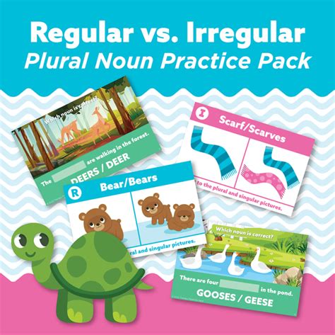 Regular Vs Irregular Plural Noun Practice Pack Tmv