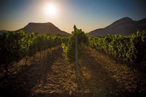 Photos Du Domaine E Croce Patrimonio Vin Corse Yves Leccia