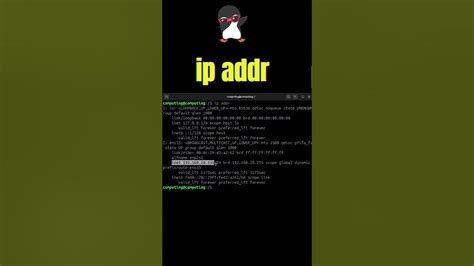6 linux networking commands shortvideo short shorts shortsfeed