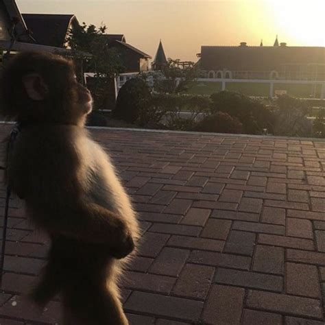 Stream Sike Listen To Look Wat Money Make A Bitch Douuu🤦🏾 Playlist Online For Free On Soundcloud