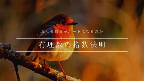 【指数関数の微分公式】証明は微分の定義と、ネイピア数eが最大の鍵！ 青春マスマティック