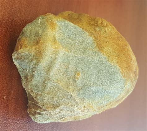 Is This A Septarian Nodule Fossil ID The Fossil Forum