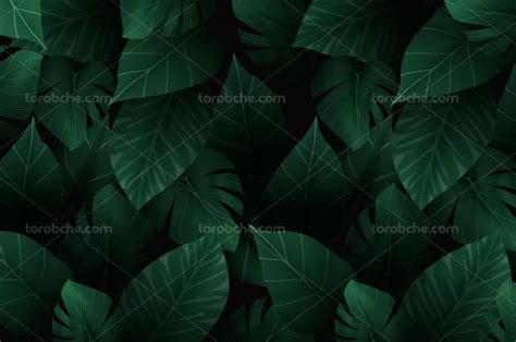 وکتور بک گراند برگ سبز گرافیک با طعم تربچه