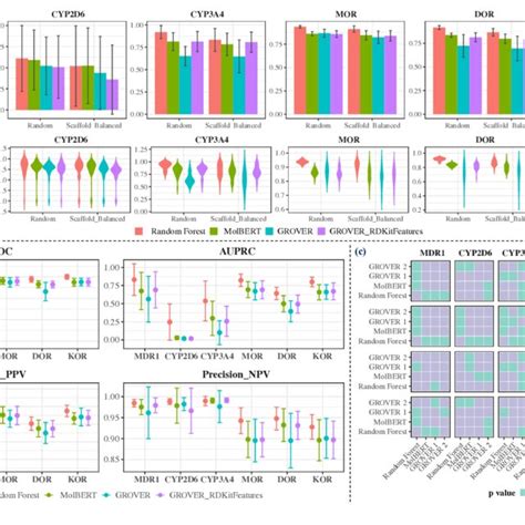 Molecular Property Prediction Performance Using Opioids Related