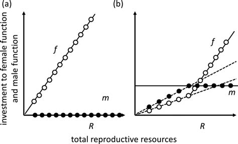 Female Allocation And Male Allocation For Different Values Of Download Scientific Diagram