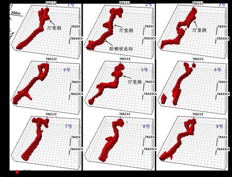 13 Randomly Generated 9 3d Facies Models Conditional To Both Well