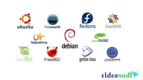 Introduction Kali Linux Server And Its Applications Tutorial Linux