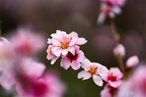 კახეთის მხარე კახეთის მხარე Added A New Photo