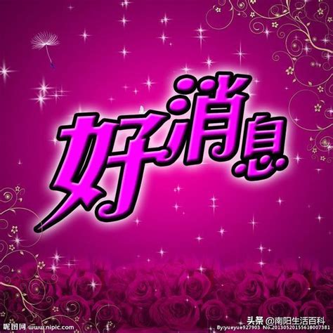中國城市競爭力最新排名出爐，看南陽這幾項排第幾？ 每日頭條