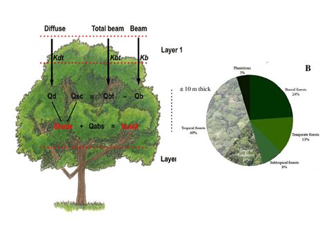 TREE CANOPY RESOLVING ENTROPY ANALYSING ECOTECTURE Behance