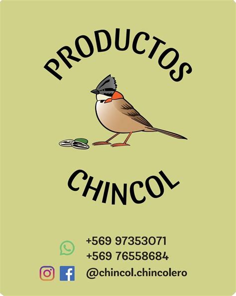 La Florida Disfraz Star Wars Niño