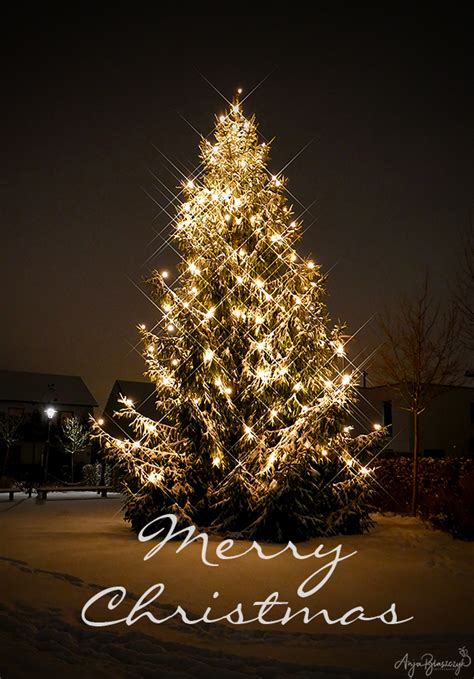 Weihnachten Archive Weltenwanderer Blog