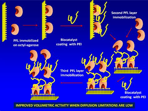 Figure 1 From Increasing The Enzyme Loading Capacity Of Porous Supports